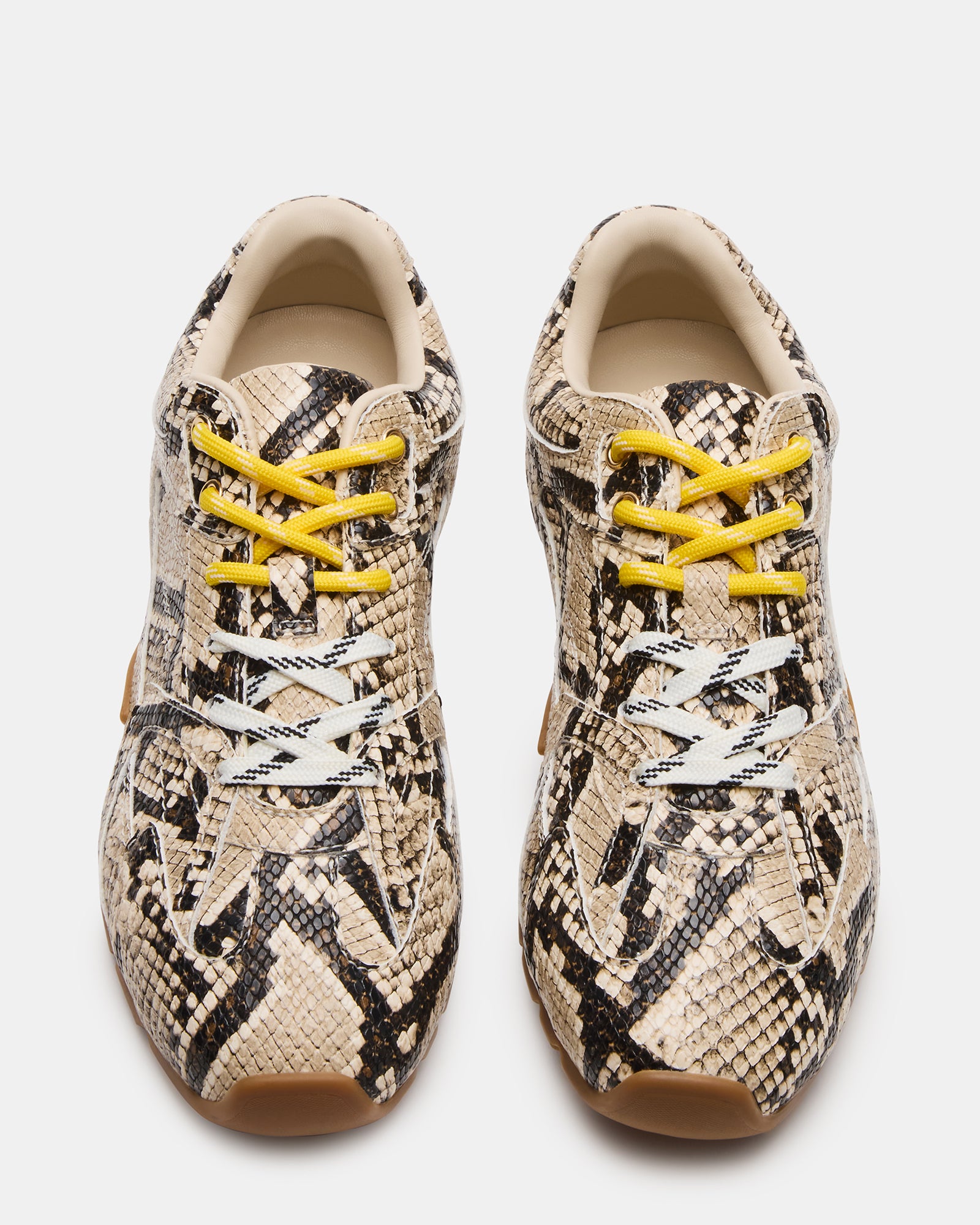 AZIEL Tan Snake Low-Top Lace-Up Women's Sneakers – Steve Madden