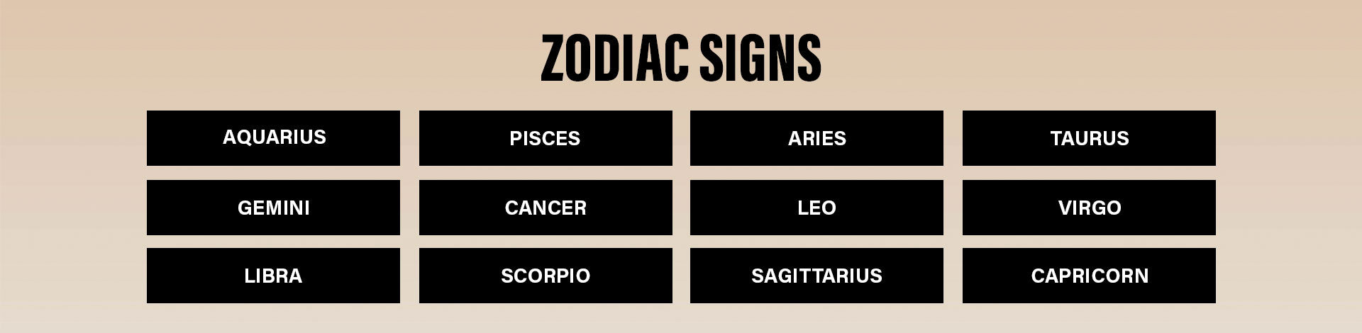 Zodiac Shop | Shop Steve Madden